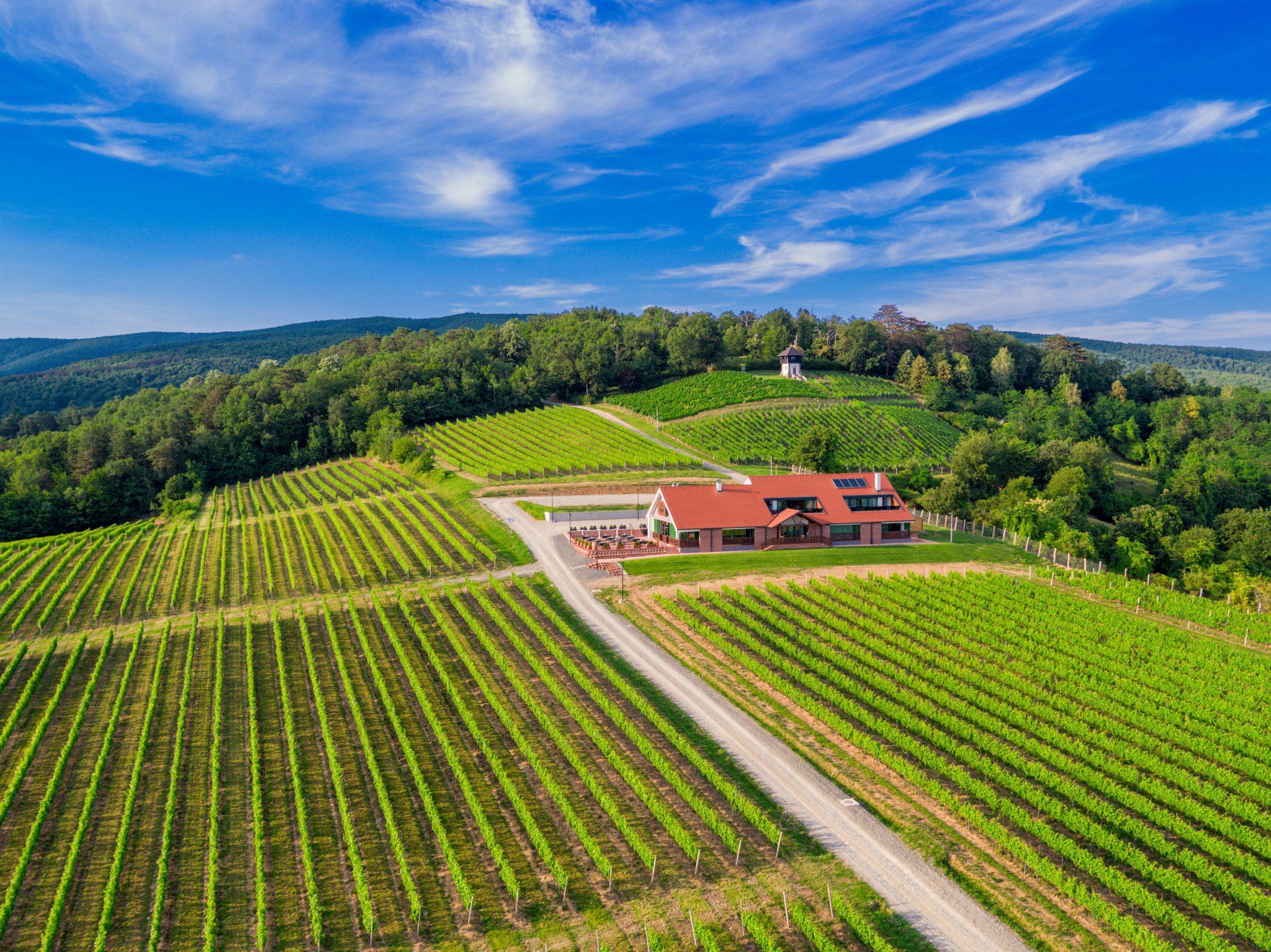 Vinarija Kutjevo zapošljava degustatore vina - Požeški.hr
